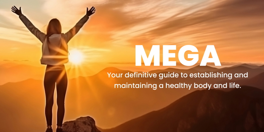 MEGA body transformation