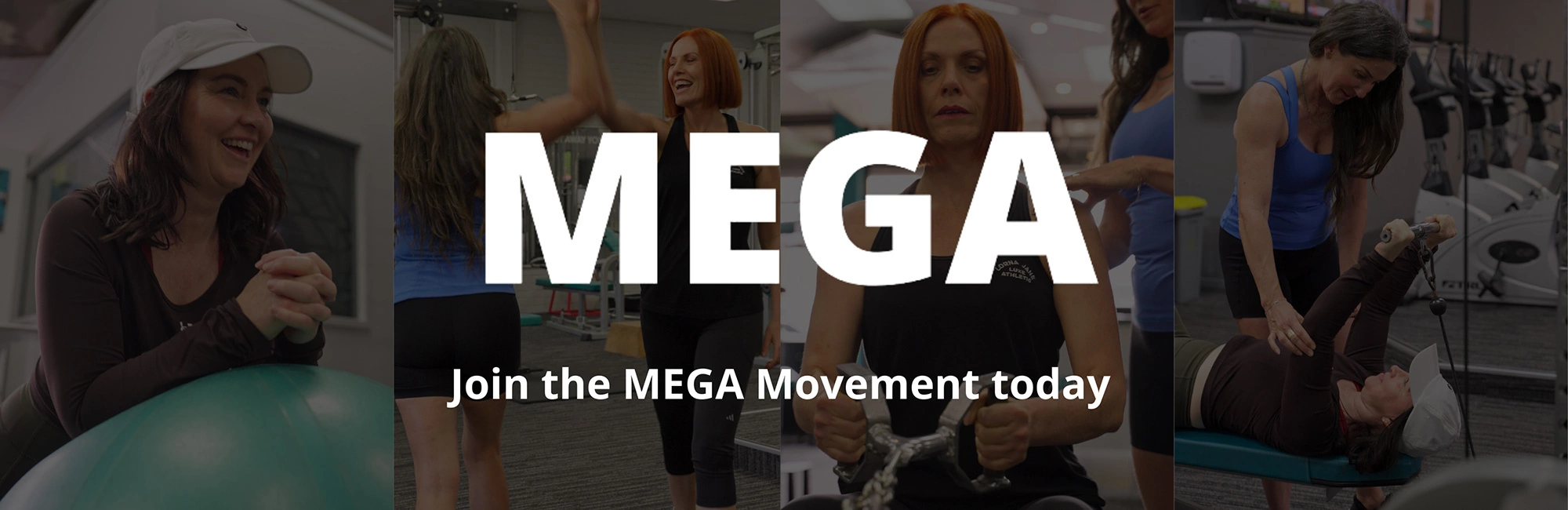 MEGA body transformation